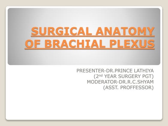 Brachial Plexus Anatomy | PPTX