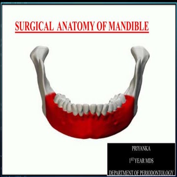SURGICAL ANATOMY OF MANDIBLE.pptx