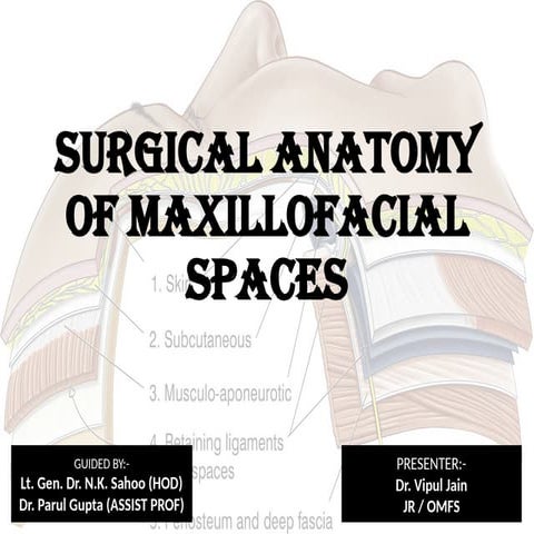 SURGICAL ANATOMY OF MAXILLOFACIAL SPACES | PPT