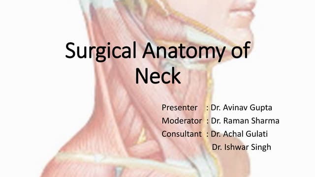 Surface marking Head Neck.ppt