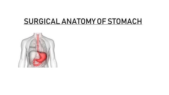 clinically oriented anatomy ; abdomino-pelvic quadrants and regions ...