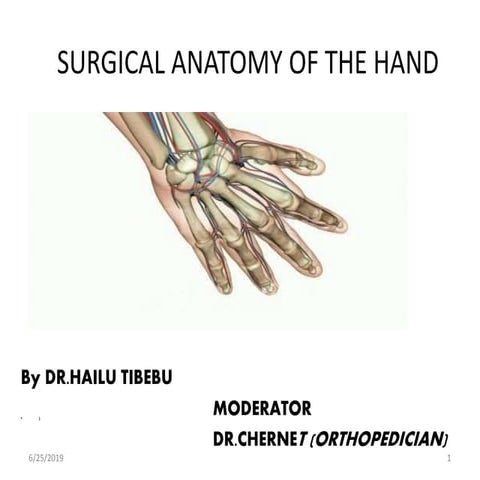 Surgical Anatomy Of The Hand