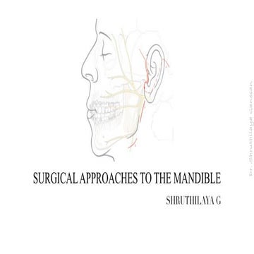 Surgical Approaches to the Mandible and Condyle | PDF