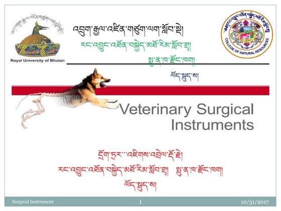 Sterilization of surgical instruments | PPTX