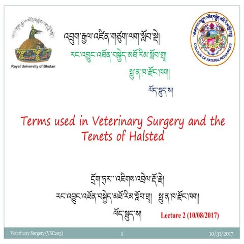 Surgical terms and reasons for surgery | PPT
