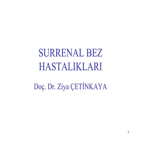 Surrenal | PPT