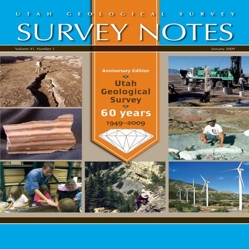 Survey Notes January 2009 | PDF | Power and Energy Industry | Industries