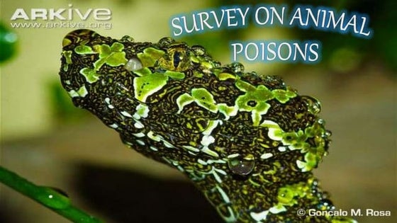 TORRES-Assortment-Kits | PDF