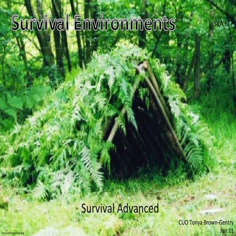 Survival Environments | PPT