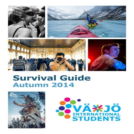 VIS Survival Guide | PDF