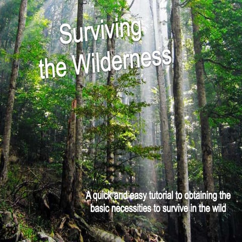 Surviving the Wilderness | PPTX