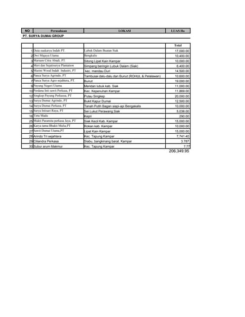 Incasi Raya Group | XLS