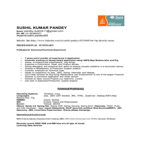 Sushil kumar pandey | DOCX