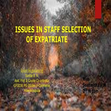 Expatriation, MCN, HCN, and TCN and Explain the process of expatriation ...