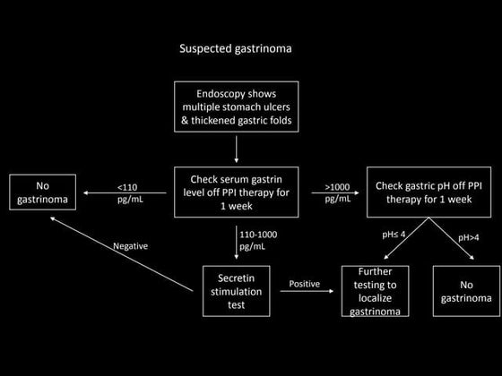 Ultrasound assessment of gestational age HY | PPT