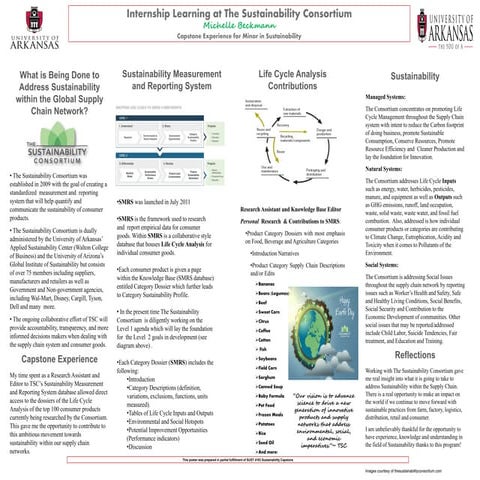 Sust 4103 capstone project poster beckmann | PDF
