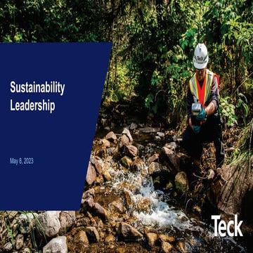 Sustainability Leadership | PDF