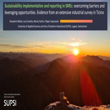 Sustainability implementation and reporting in SMEs.pdf