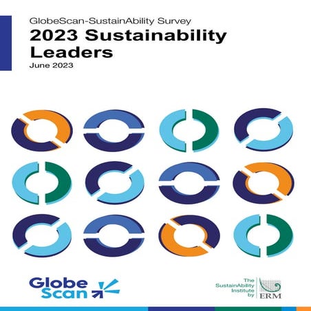 Sustainability_Leaders and its descripiton | PDF