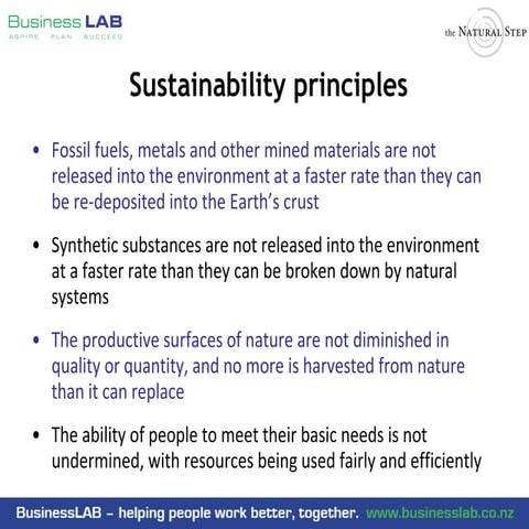 Sustainability Principles | PPT | Environmental Services Industry ...