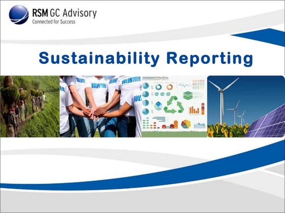 Sustainability Report Template | PDF