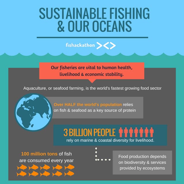 Infographic: Sustainable Fishing | PDF