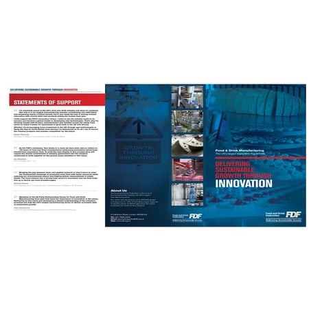 Sustainable growth-through-innovation | PDF