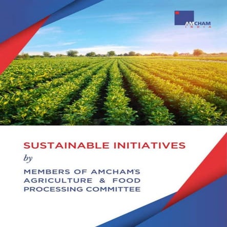 Sustainable Initiatives | PPTX