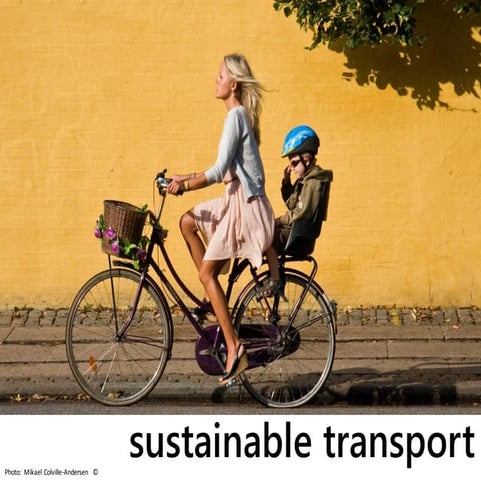 Sustainable transport | PDF