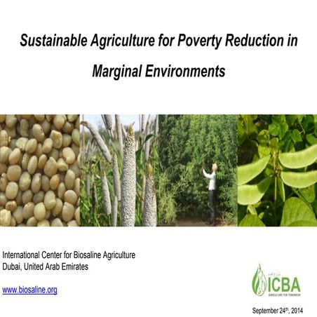 Sustainable agriculture for poverty reduction in marginal environments ...