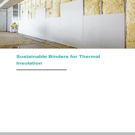 Sustainable Binders for Thermal Insulation | PDF