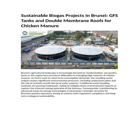 Advancing Biogas Technology in Egypt-GFS Tanks and Double Membrane ...