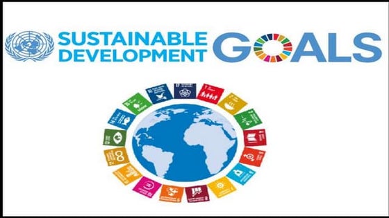 Hindi SDGs | PPT