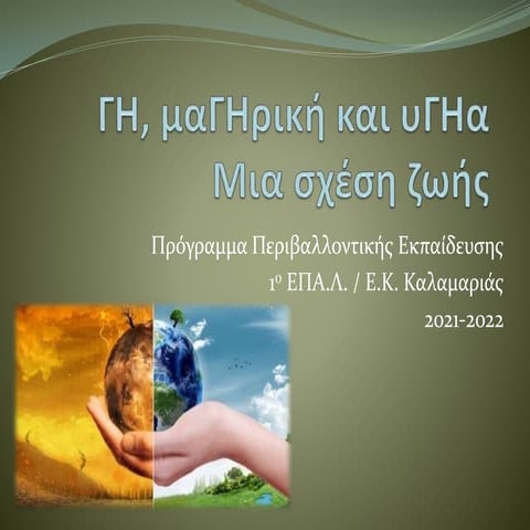 Sustainable_Diet.pptx