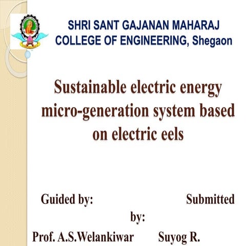 Sustainable electric energy micro generation system based on electric | PPT