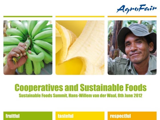 Tanmay Rahangdale PPT Class 11.pptx fair trade | PPT