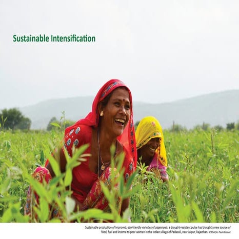 Sustainable intensification | PDF