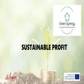 SUSTAINABLE PROFIT | PPTX | Business Administration | Business