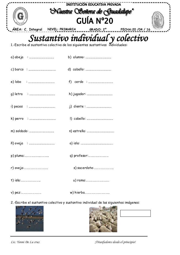 Sustantivo individual y colectivo