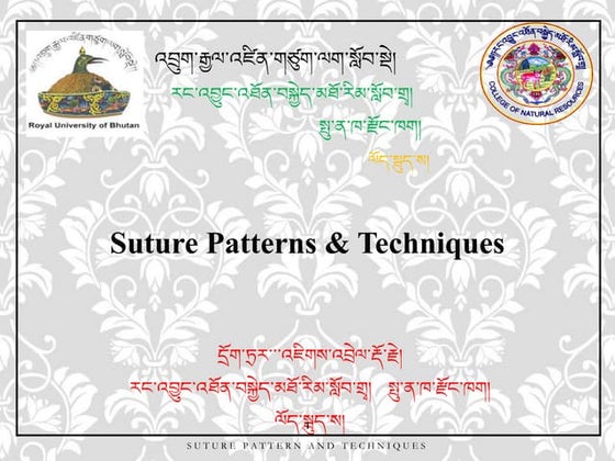 Basic suture patterns | PPT