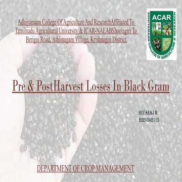 Pre and post harvest losses in black gram | PPTX