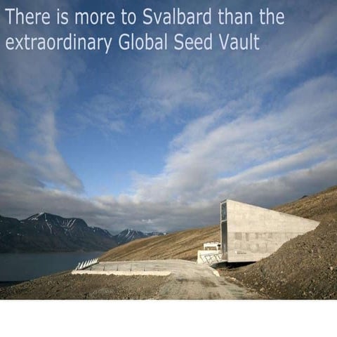 Svalbard summer | PPT