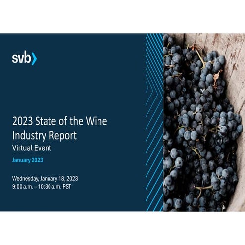 SVB 2023 slides.pdf