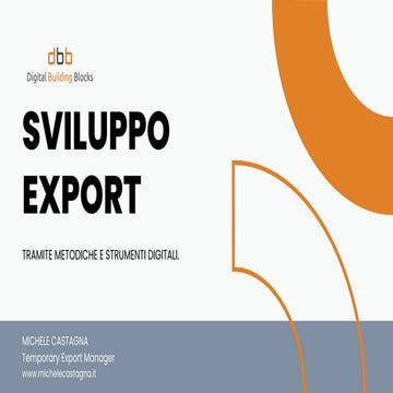 Webinar Temporary Export Manager con Michele Castagna | PPT