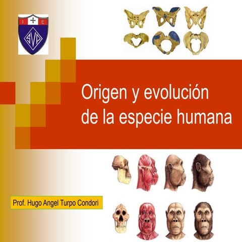 SVP Sibre Origen y evolucion del hombre.ppt