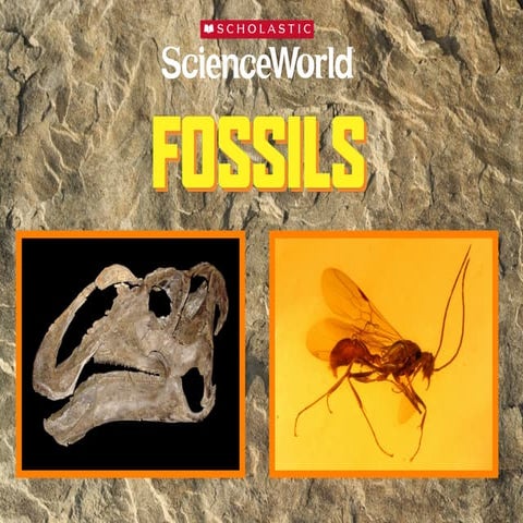 fossil and types of fossil and fossilization and how fossil is formed | PPT