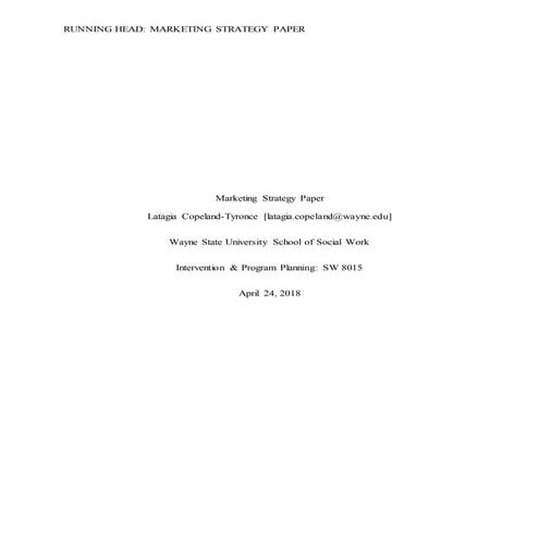 BFDI Legal Advocacy: Marketing Strategy Paper | DOCX