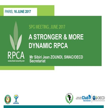 A Stronger and More Dynamic RPCA | PDF
