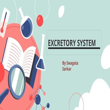 Excretory System | PPTX