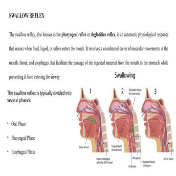 Swallow Reflex.pptx physiology lectures | PPTX